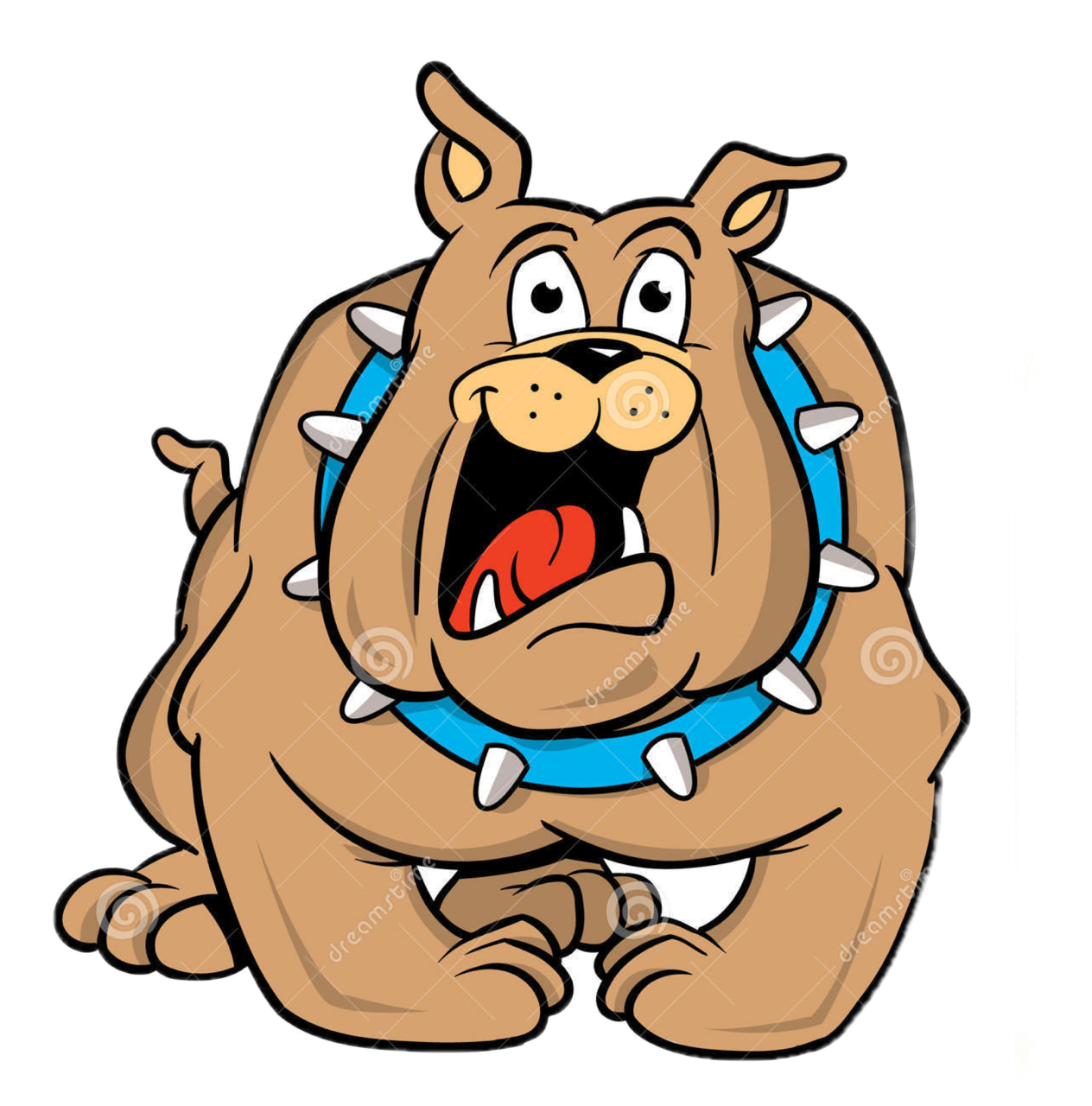 Allevamento Bulldog Inglese - Darwin Bulldogs